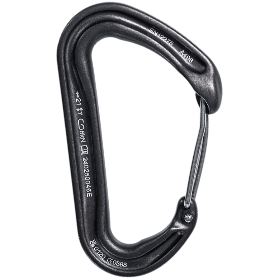 DMM Aether Wiregate Carabiner — CTOMS
