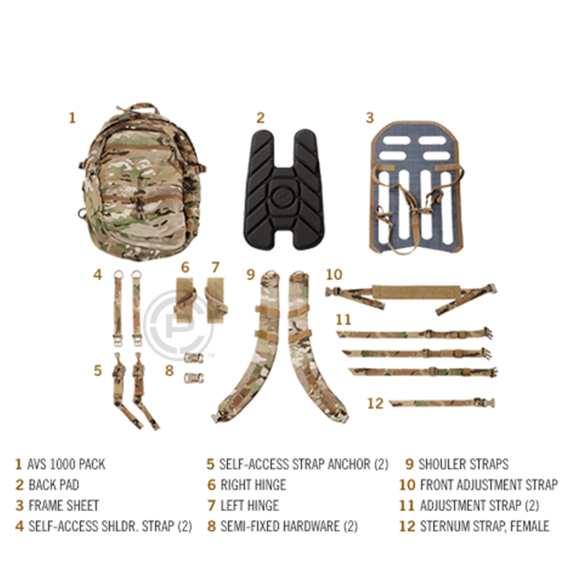 Crye AVS™ 1000 Pack — CTOMS